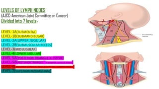 neck nodes and dissection types and lymph nodes levels | PPTX