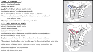 neck nodes and dissection types and lymph nodes levels | PPTX