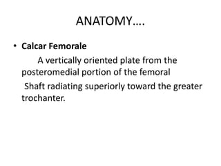 Neck of femur fractures | PPTX