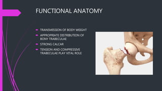 Neck of the femur fracture | PPTX