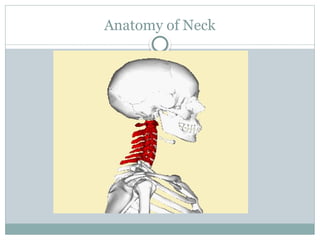 Differential diagnosis for neck pain DD.pptx