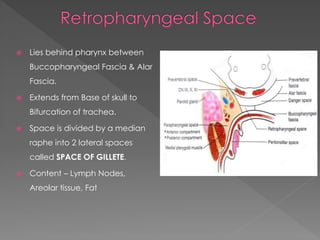 Anatomy of Neck spaces & Infections | PPSX