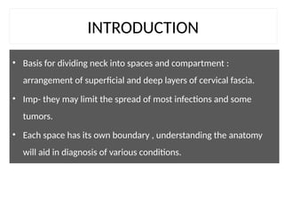 Radiological Anatomy of Neck Spaces with their clinical significance | PPTX