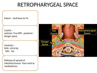 Radiological Anatomy of Neck Spaces with their clinical significance | PPTX