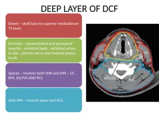 Radiological Anatomy of Neck Spaces with their clinical significance | PPTX