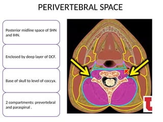 Radiological Anatomy of Neck Spaces with their clinical significance | PPTX