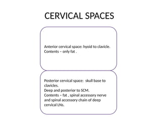 Radiological Anatomy of Neck Spaces with their clinical significance | PPTX