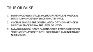 Deep neck spaces and muscles of neck- Radiology | PPTX