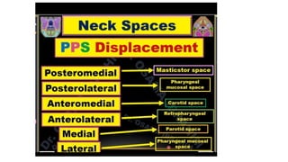 Deep neck spaces and muscles of neck- Radiology | PPTX