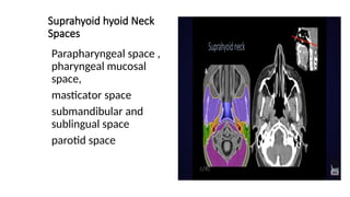 Deep neck spaces and muscles of neck- Radiology | PPTX