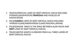 Deep neck spaces and muscles of neck- Radiology | PPTX