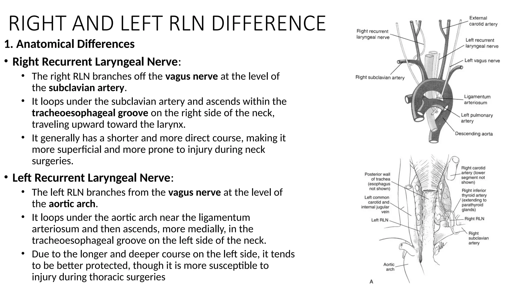 NECK SWELLING IN OTORHINOLARYNGOLOGY .pptx
