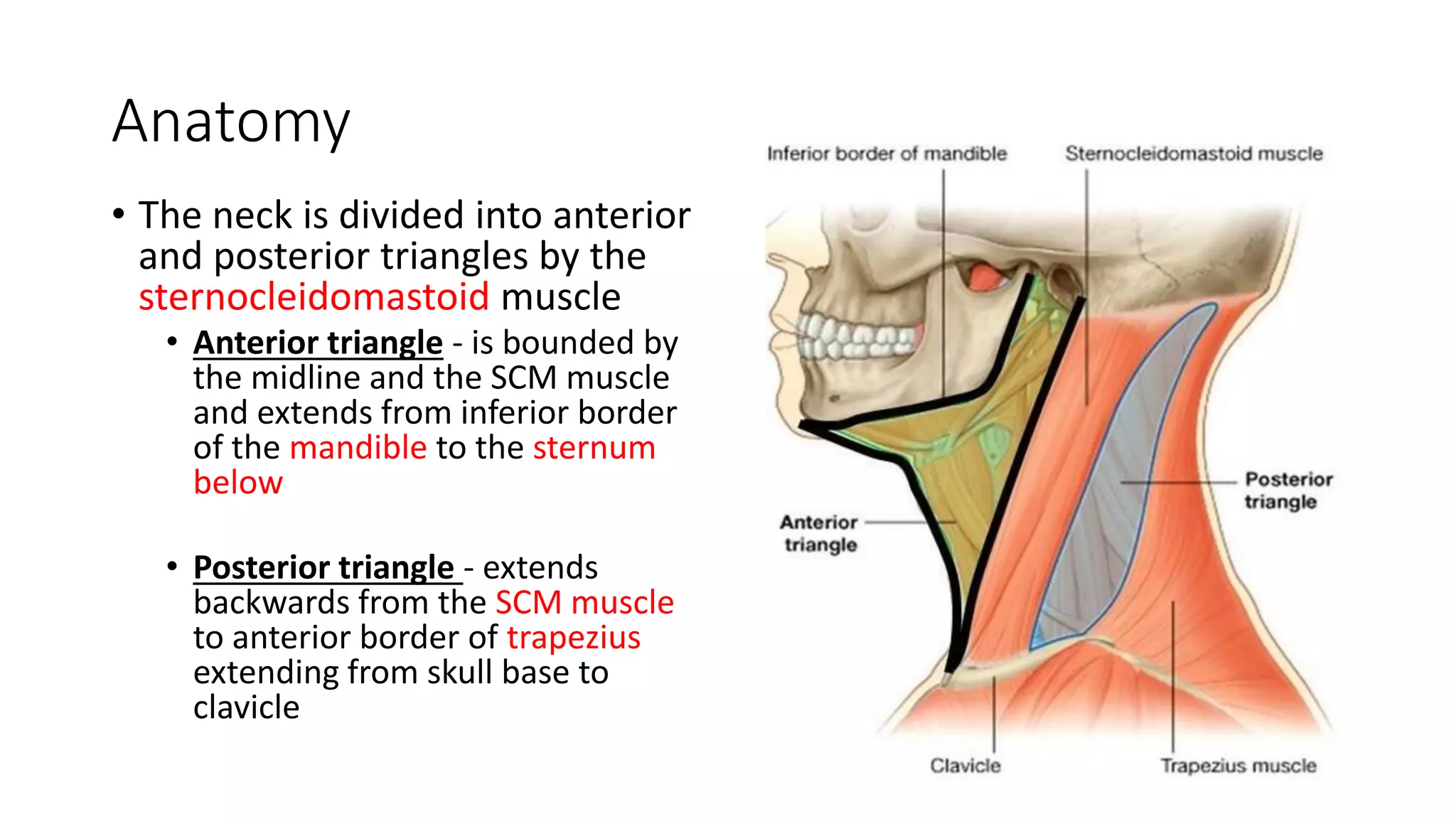 Neck swellings complete | PDF | Thyroid Disorders | Endocrine and ...