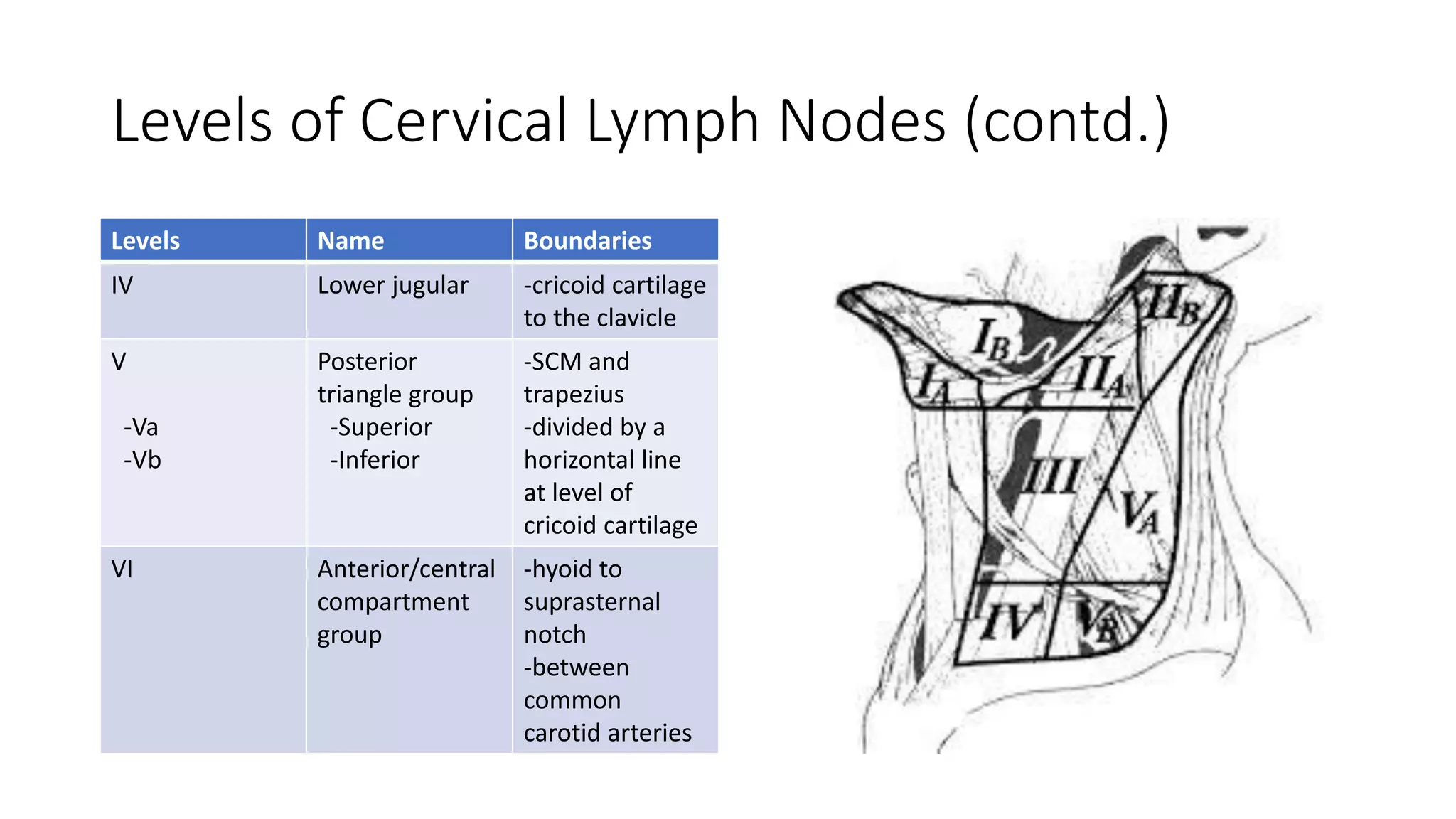 Neck swellings complete | PDF