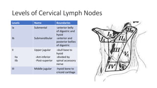 Neck swellings complete | PDF