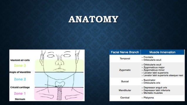 Neck trauma | PPT