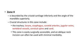 Neck Trauma.pptx