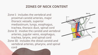 Comprehensive Overview of Neck Trauma: Anatomy, Diagnosis, and ...