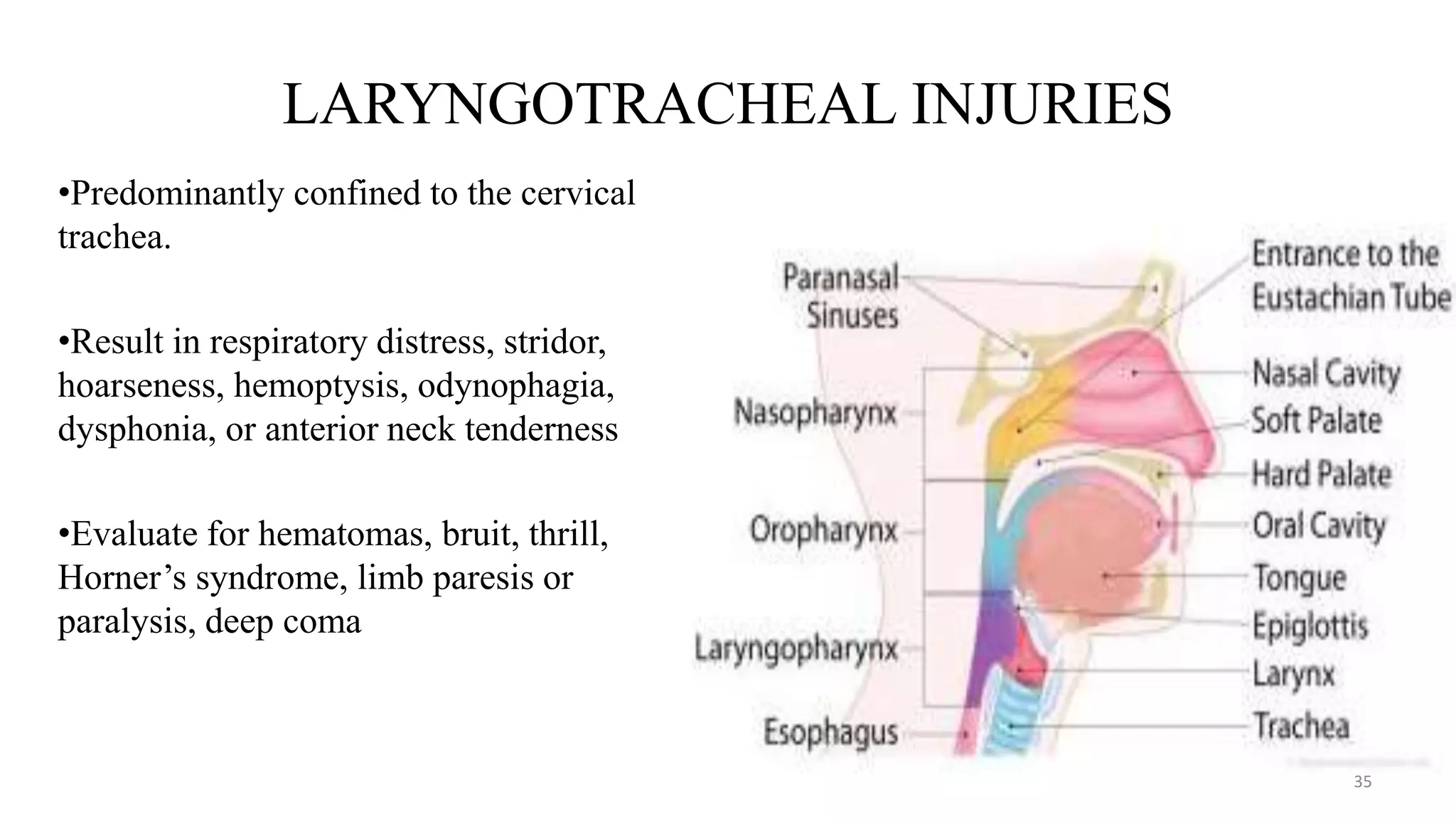 Neck trauma DR HAUWA SHITU 1.pptx