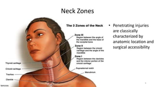 Neck trauma DR HAUWA SHITU 1.pptx