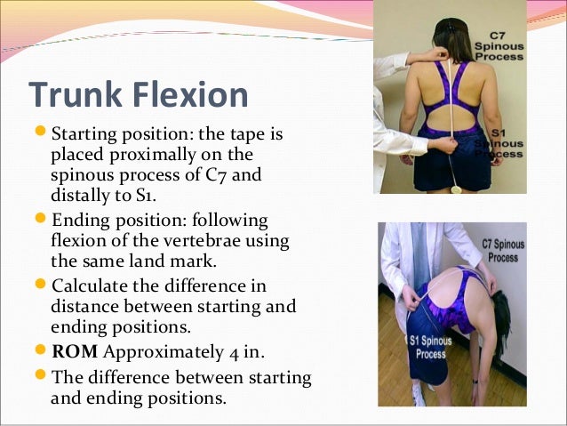 Neck & trunk rom measurement