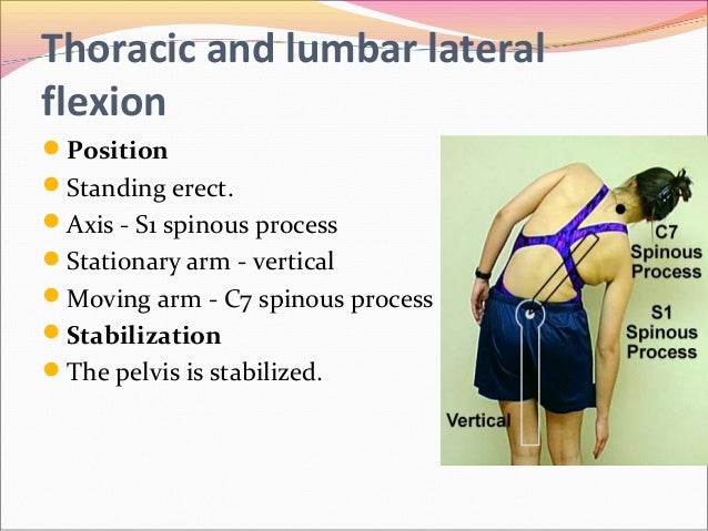 Neck & trunk rom measurement