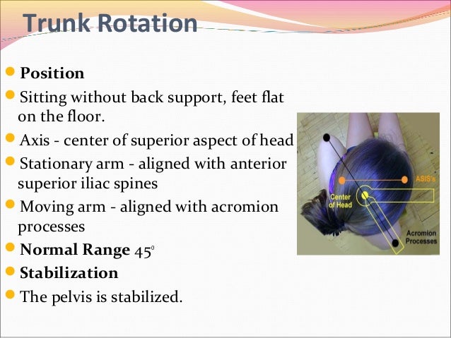 Neck & trunk rom measurement