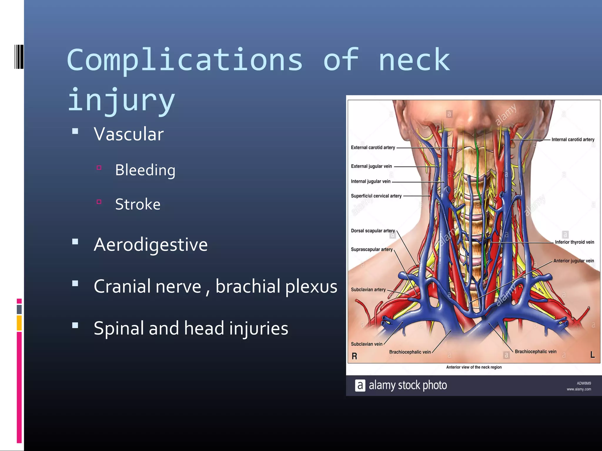 VASCULAR INJURIES OF THE NECK PRE CONGRESS WORKSHOP ACS JOEL ...