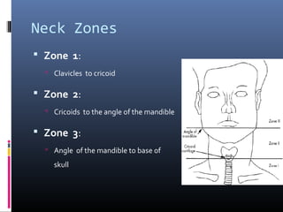 VASCULAR INJURIES OF THE NECK PRE CONGRESS WORKSHOP ACS JOEL ...