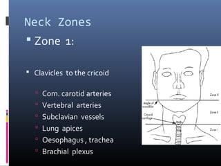 VASCULAR INJURIES OF THE NECK PRE CONGRESS WORKSHOP ACS JOEL ...