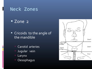 VASCULAR INJURIES OF THE NECK PRE CONGRESS WORKSHOP ACS JOEL ...