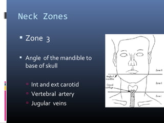 VASCULAR INJURIES OF THE NECK PRE CONGRESS WORKSHOP ACS JOEL ...