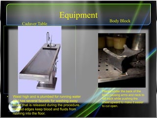 autopsy,Necropsy,postmortem | PPTX