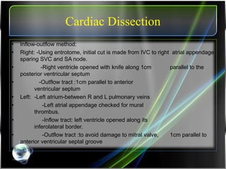 autopsy,Necropsy,postmortem | PPTX