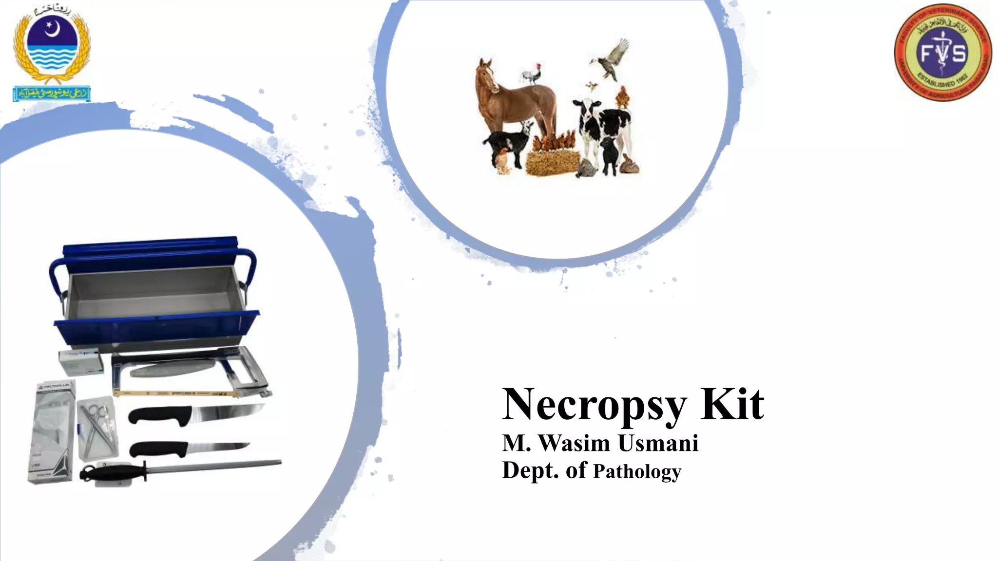 Necropsy kit | PPTX