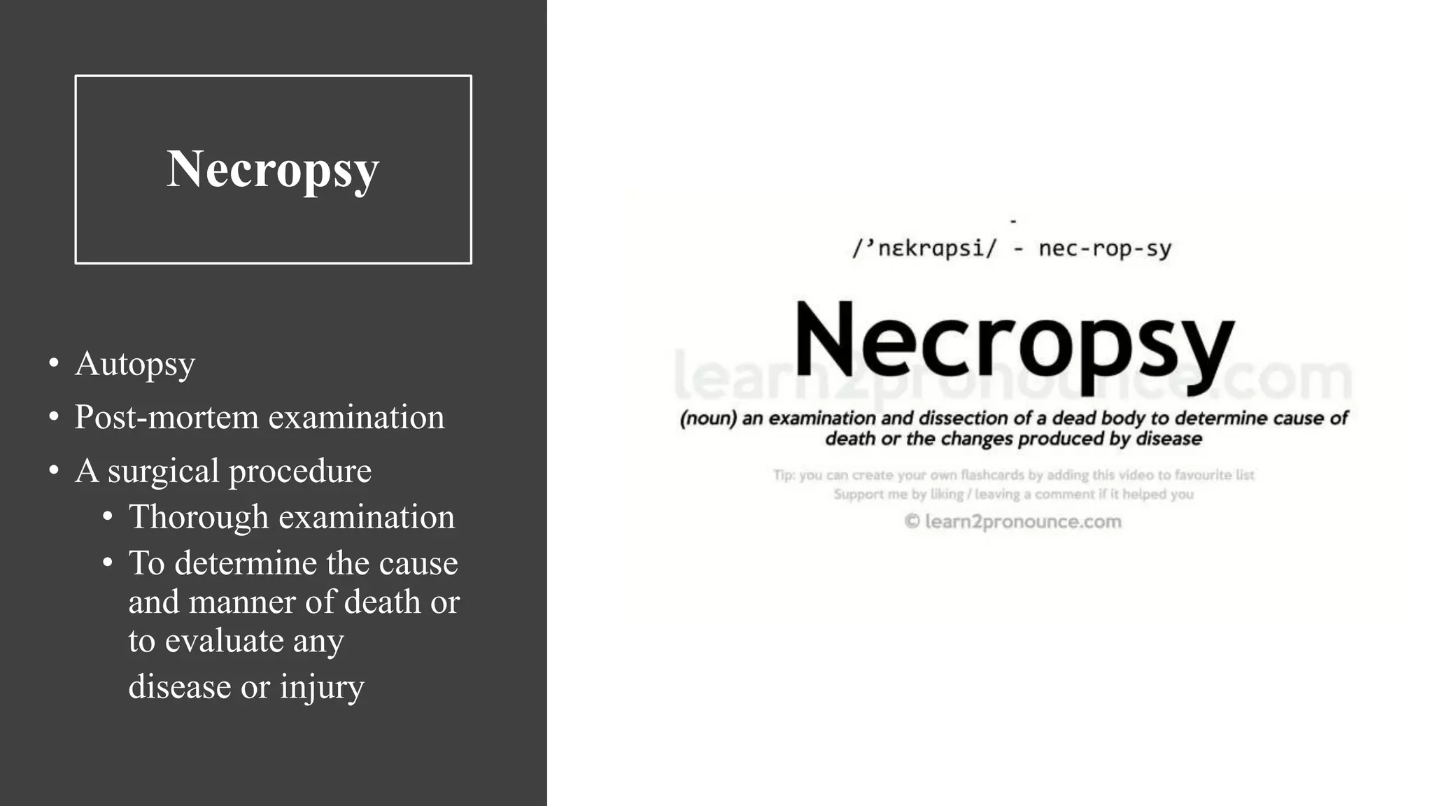 Necropsy kit | PPTX