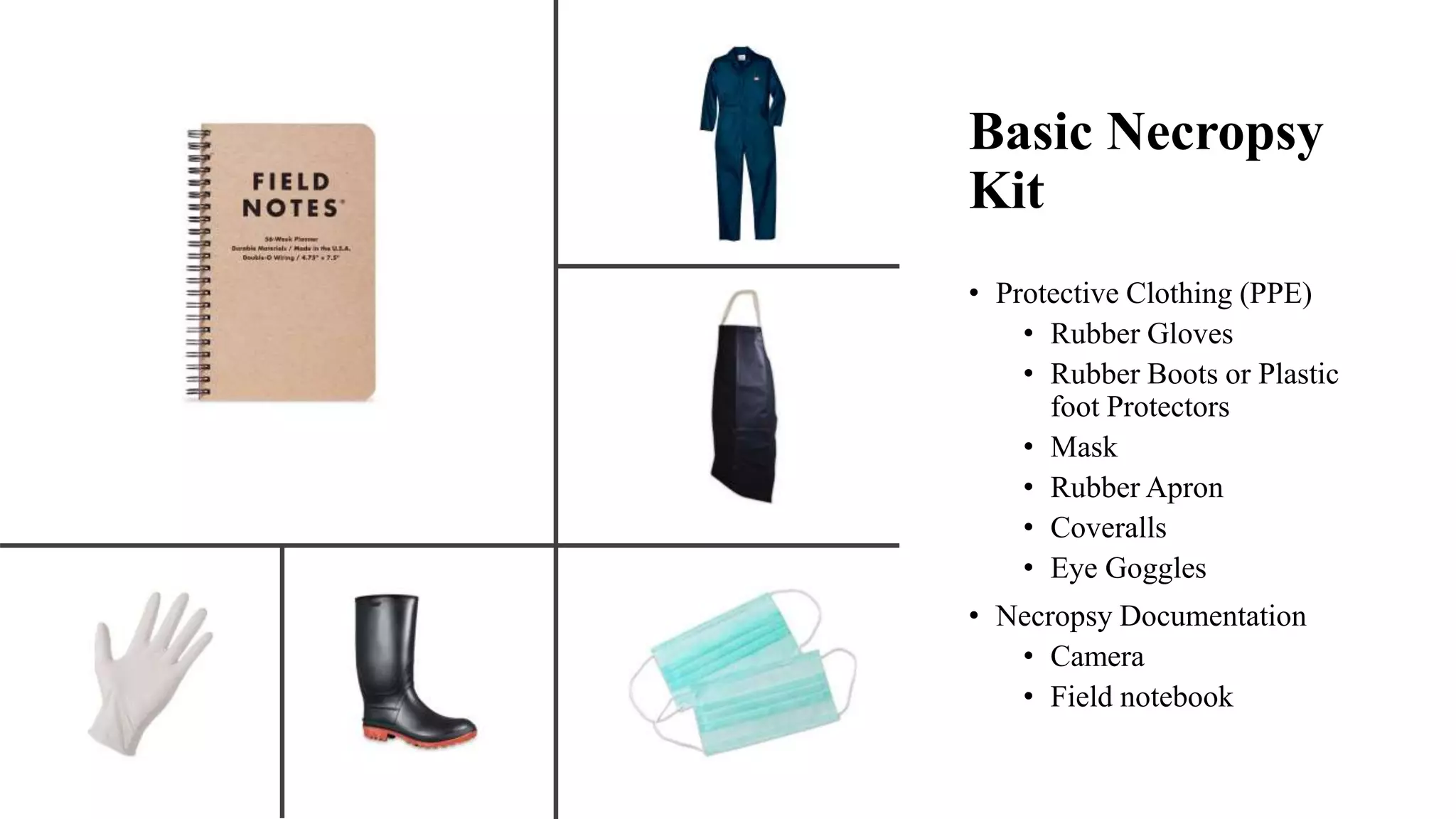 Necropsy kit | PPTX