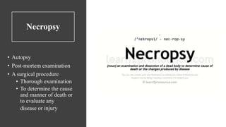Necropsy kit | PPTX