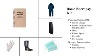 Necropsy kit | PPTX