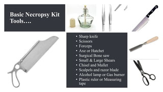 Necropsy kit | PPTX