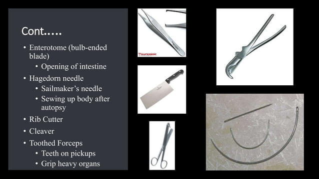 Necropsy kit | PPTX | Diseases and Conditions | Medical Health