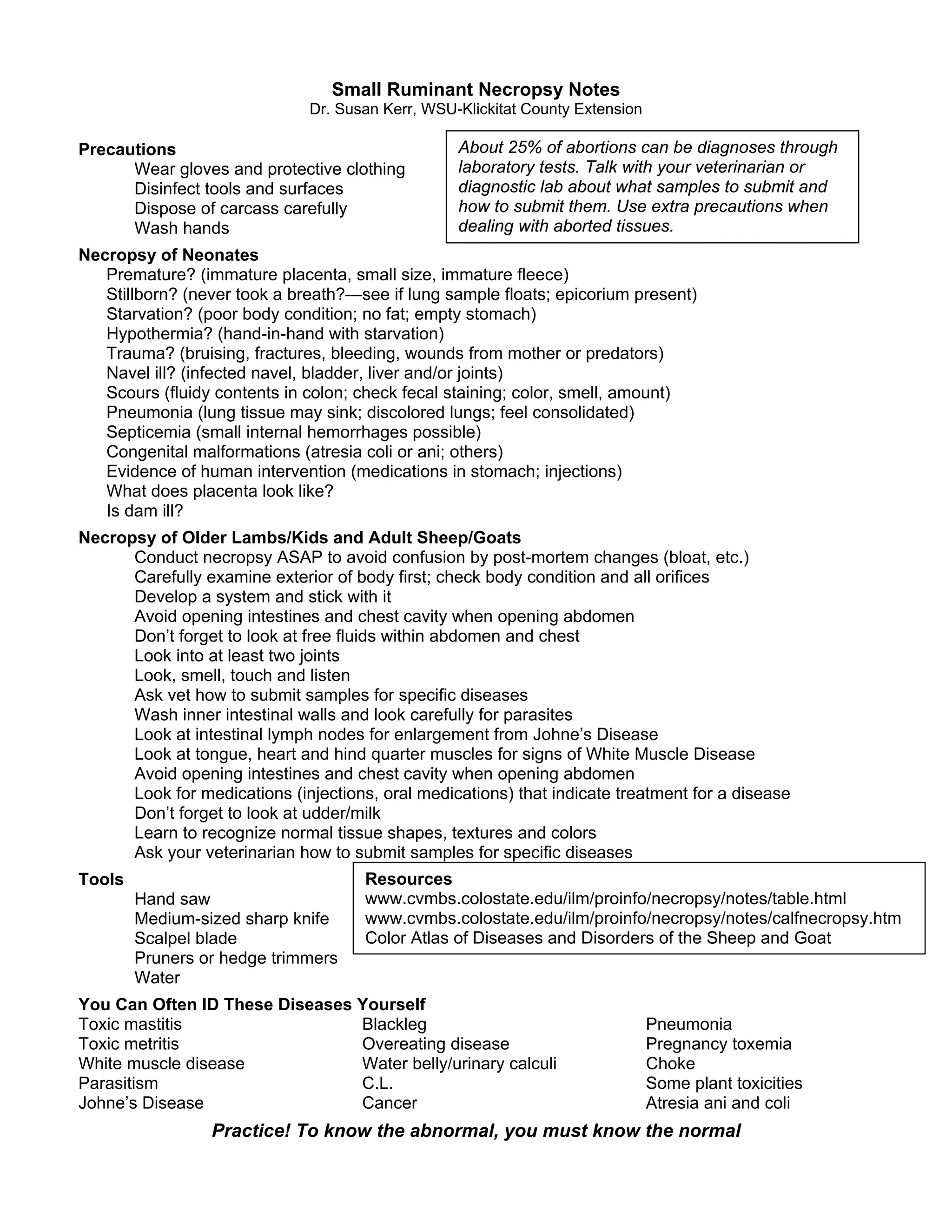 Necropsy notes | PDF