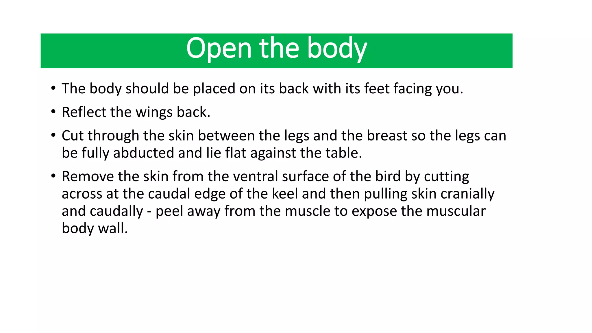 Necropsy Of Poultry (procedure).pptx
