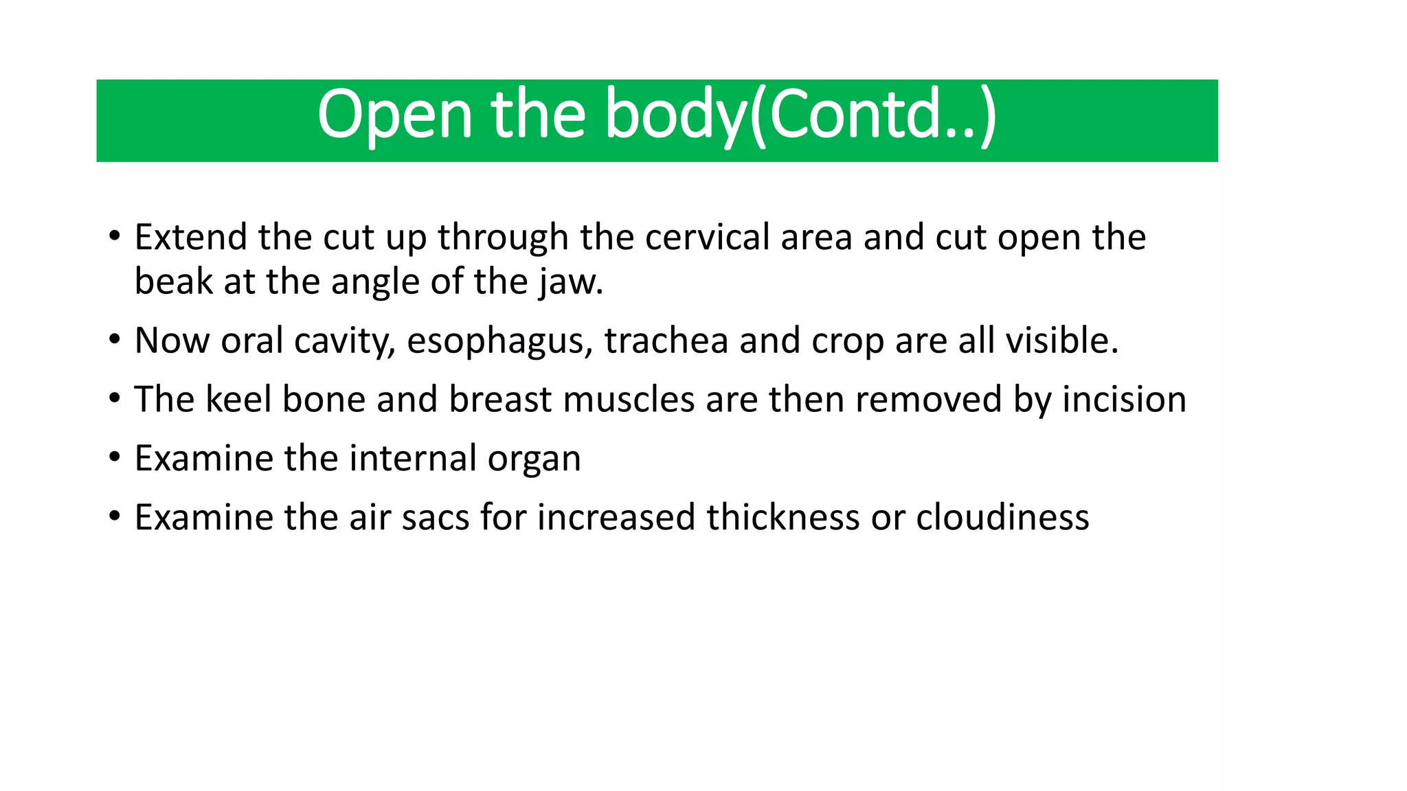 Necropsy Of Poultry (procedure).pptx