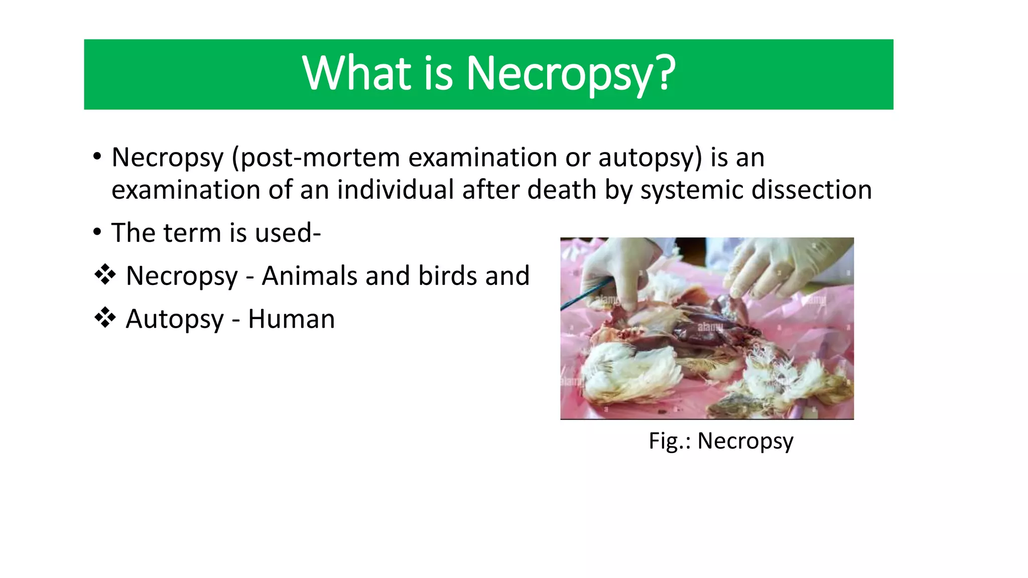 Necropsy Of Poultry (procedure).pptx | Medical Health