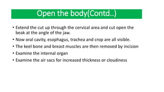 Necropsy Of Poultry (procedure).pptx