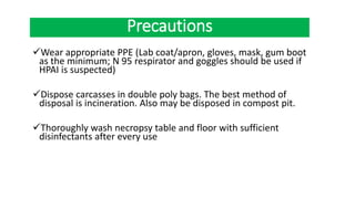 Necropsy Of Poultry (procedure).pptx