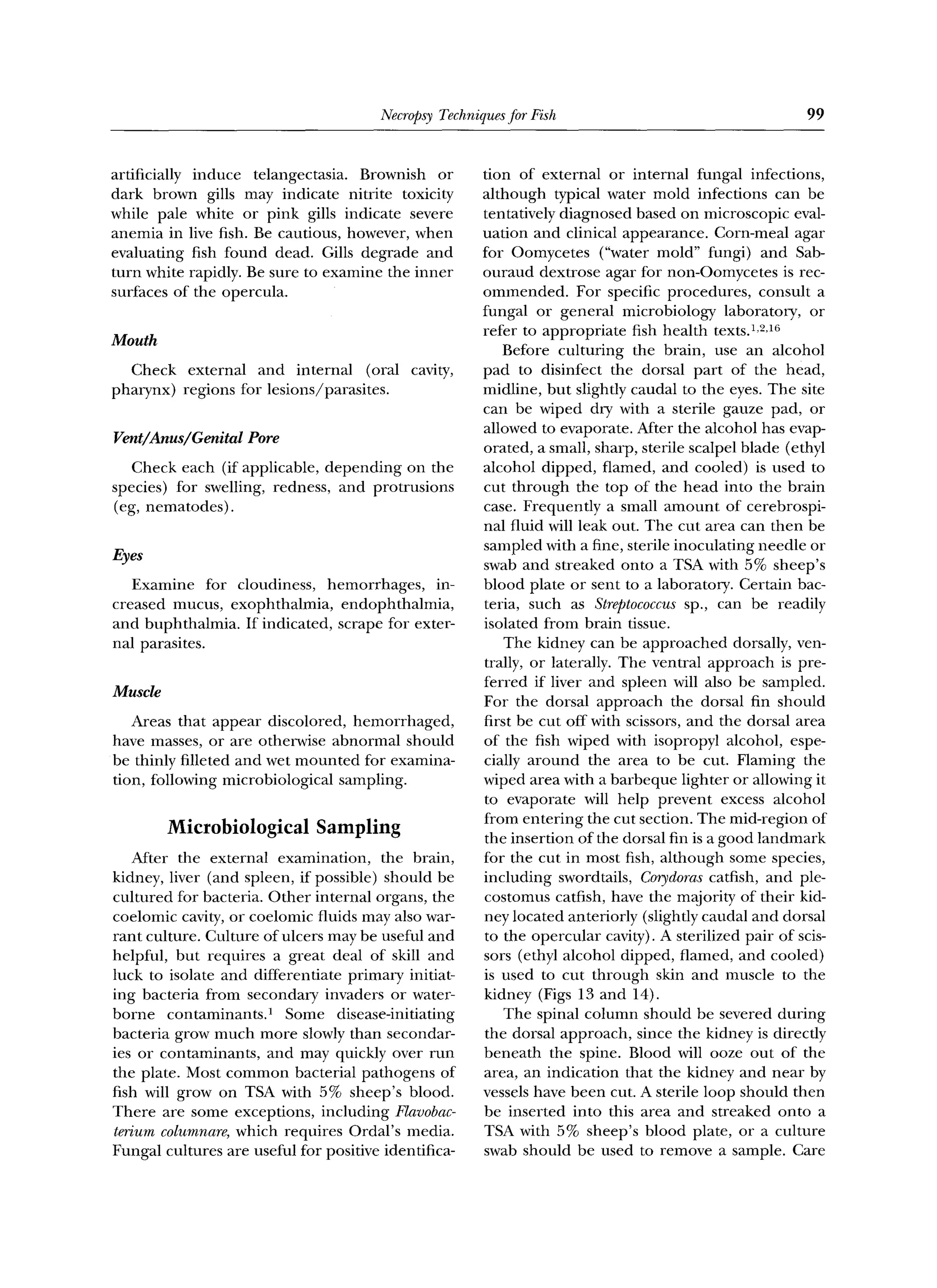 Necropsy techniques for fish roy p.e. yanong | PDF