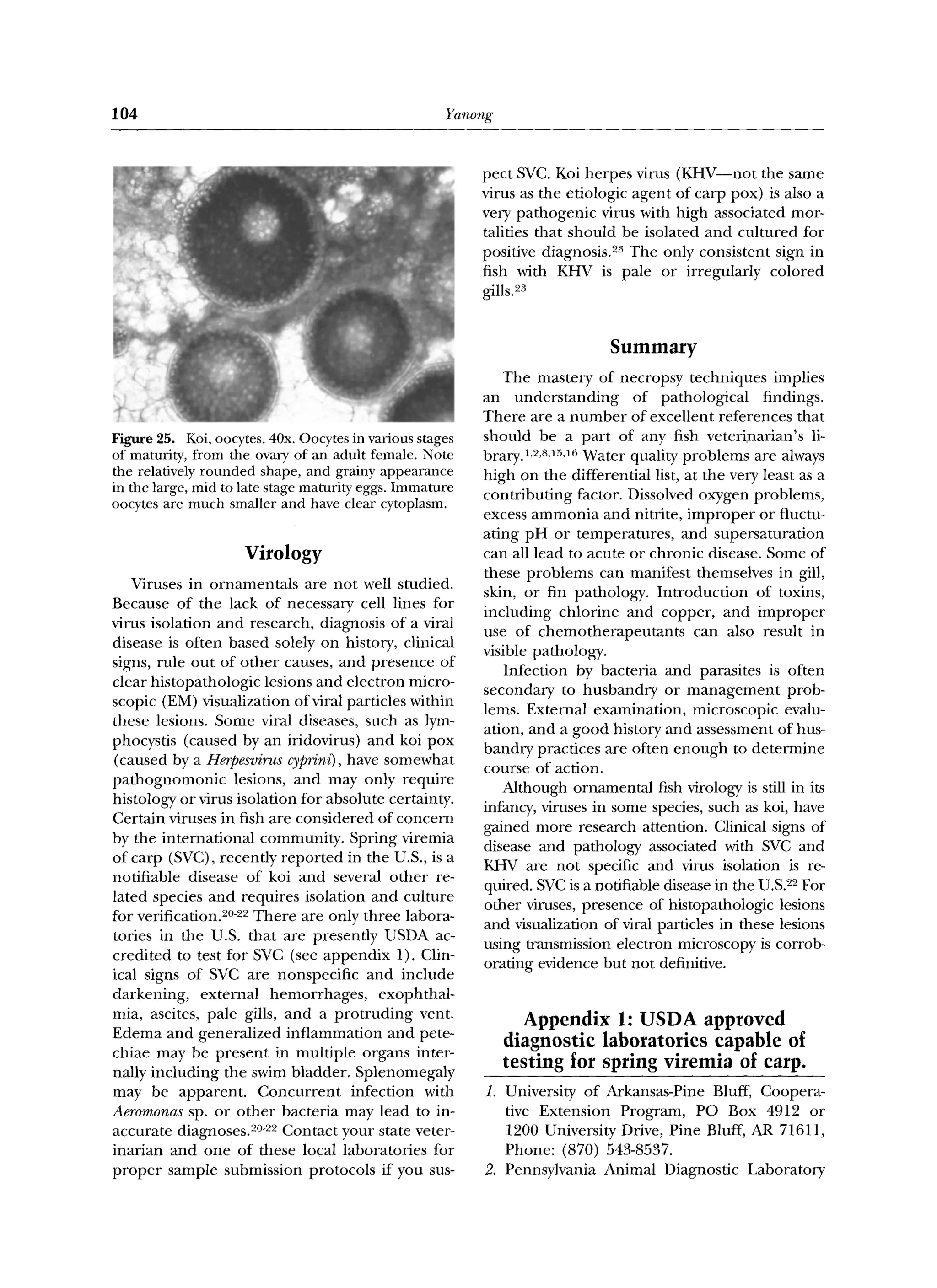 Necropsy techniques for fish roy p.e. yanong | PDF