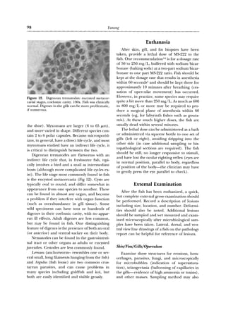 Necropsy techniques for fish roy p.e. yanong | PDF